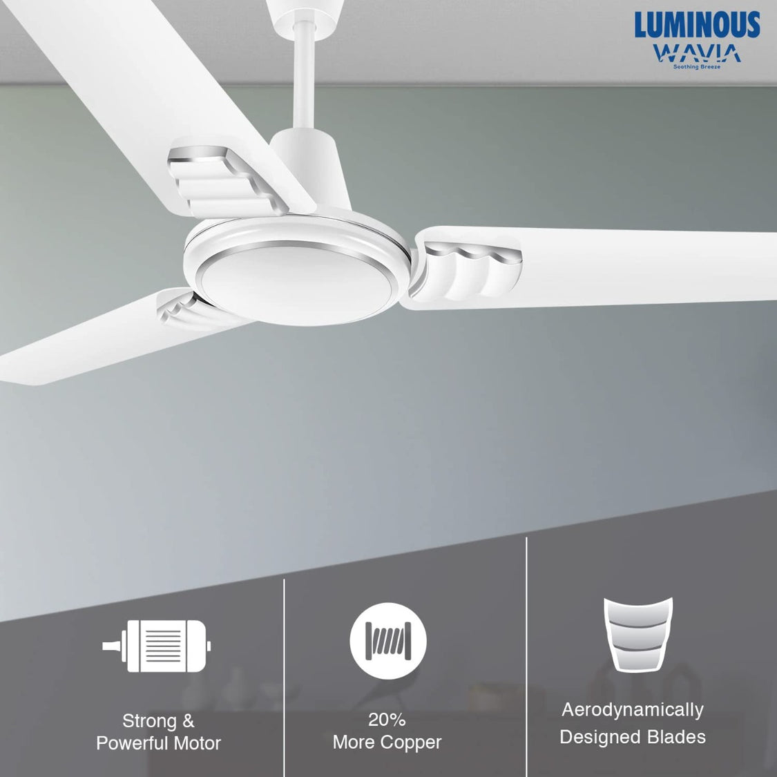 RR Signature – TheElectricOnline